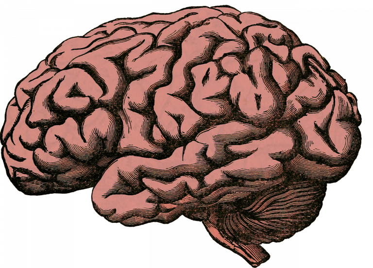 Craniotomy Do You Really Need It SurgeryXchange craniotomy-do-you-really-need-it-surgeryxchange